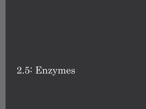 BIOLOGY ENZYME PRESENTATION INCLUDING GRAPHS | PPT