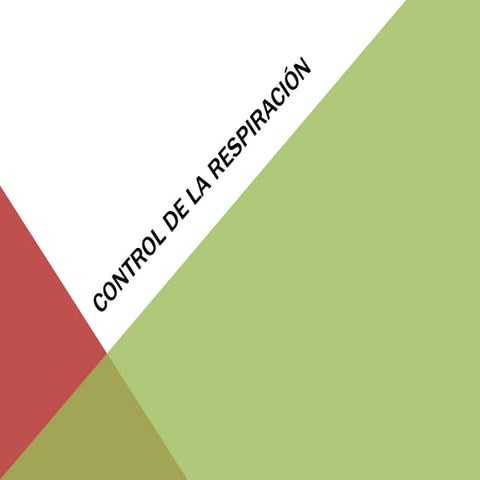 El control de la respiración | PPTX