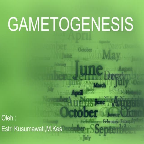 Gametogenesis (pembentukan sel kelamin pada manusia) | PPTX