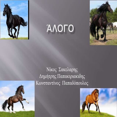 Τα πάντα για το άλογο | PPTX