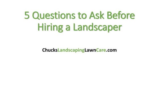 Pedology: The Science of Soil Development | PDF