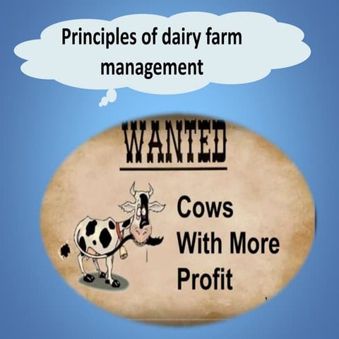 Principles of Dairy Cow farm management | PPTX