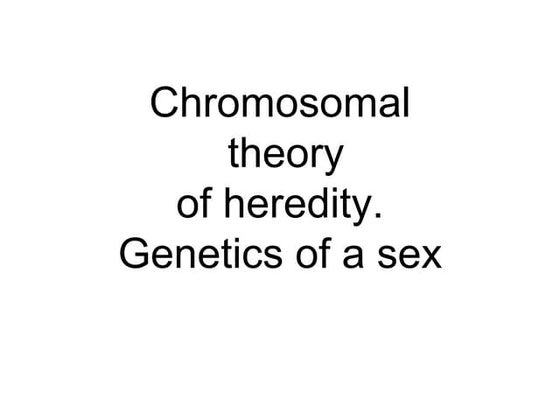 Chromosomal Theory Of Inheritance Ppt Genetics Science