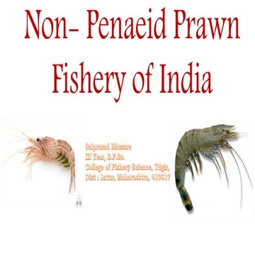 2. Non Penaed Shrimp Fishery of India | PPTX