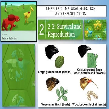 Survival and Reproduction | PDF