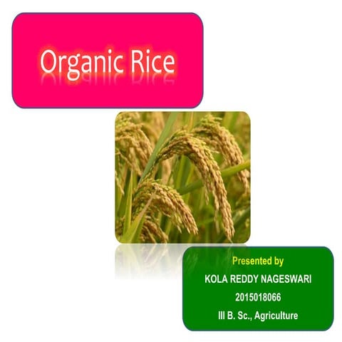 Organic Rice | PPTX