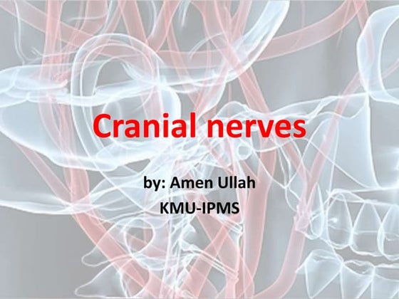 12 cranial nerves | PPT