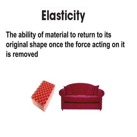 2.12 elasticity | PPT