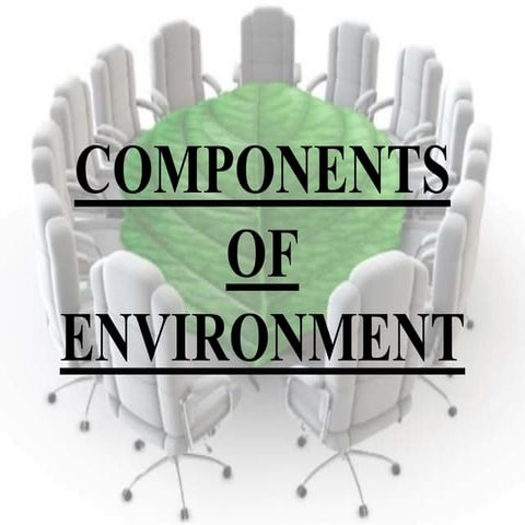 Components of Environment | PPTX