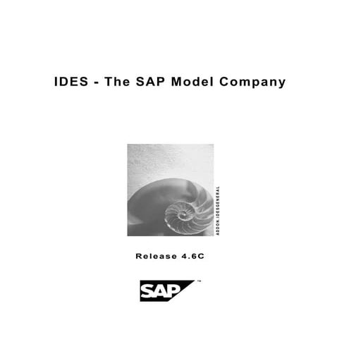 2.ides model company | PDF