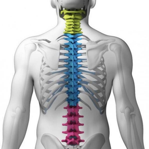Spinal Fractures The Three Column Concept Pdf