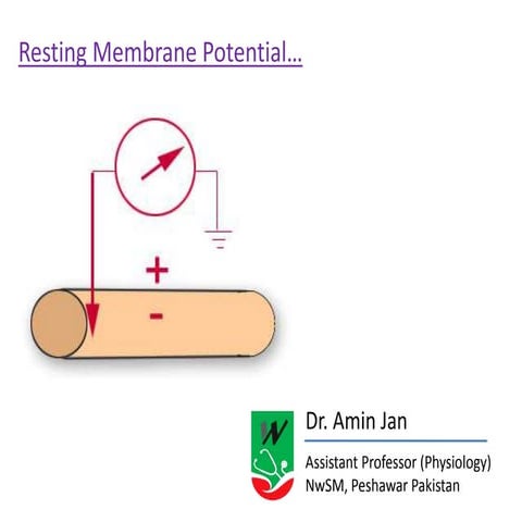 2. resting membrane potential (2018) | PPT