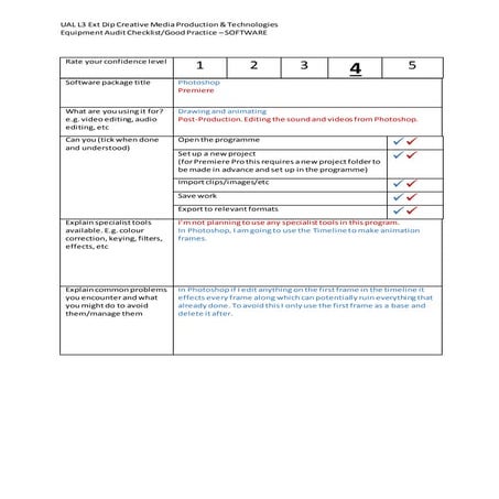 Audit Form | DOCX
