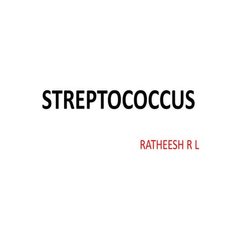 2. streptococcus | PPTX