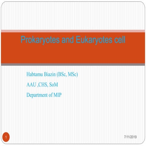2. Prokaryotic and eukaryotic cell structure | PPT