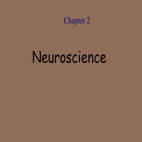 The Nervous System: CNS & PNS | PPT