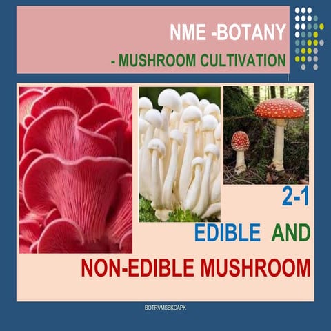 Mushroom Cultivation | PPT