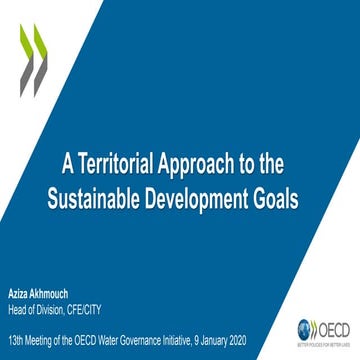 A Territorial Approach to the SDGs | PPTX