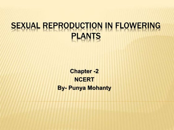 Human Reproduction Pptx Class Xii Biology Ppt