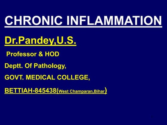 Chronic Inflammation. Pdf | PDF