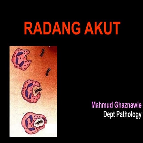 Radang akut | PPT