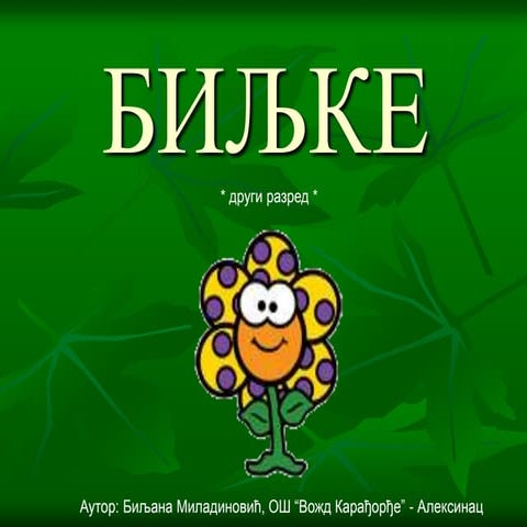 Gradja biljaka | PPTX