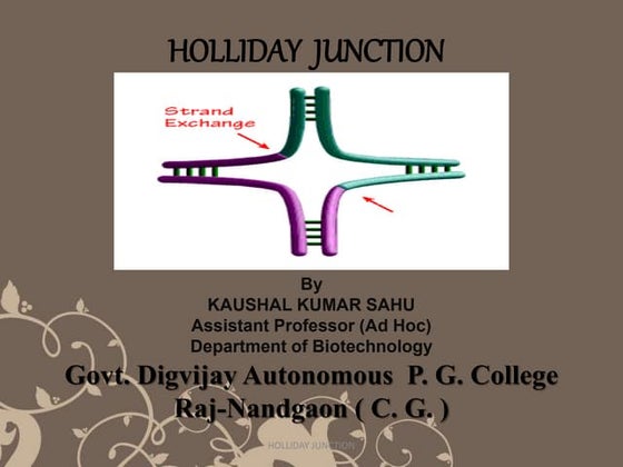 Holliday Model of DNA Recombination | PPTX
