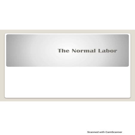 The Normal Labor | PDF