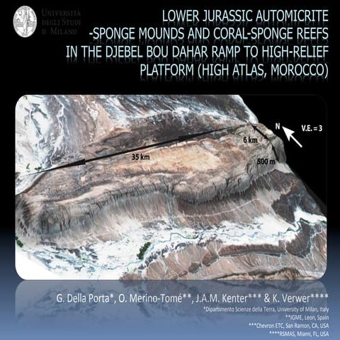 G. Della Porta, O. Merino-Tomé, J.A.M. Kenter and K. Verwer (2009 ...