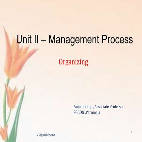 Management process - organizing | PPTX