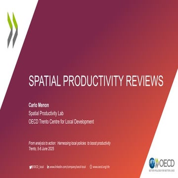Spatial productivity reviews - Carlo Menon | PDF