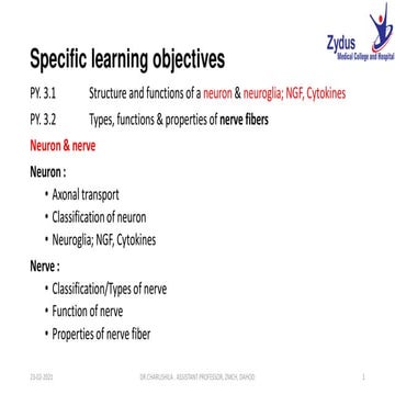 2. NM Neuron, nerve classification | PDF