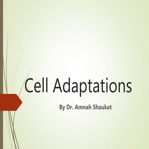 Cell Adaptations | PPT