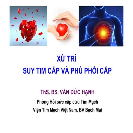 Cập nhật chẩn đoán và điều trị Suy tim cấp 2023 | PPTX