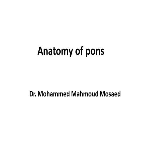 Pons 185844.pptx | Death, Injury, or Military Conflict | Sensitive Topics