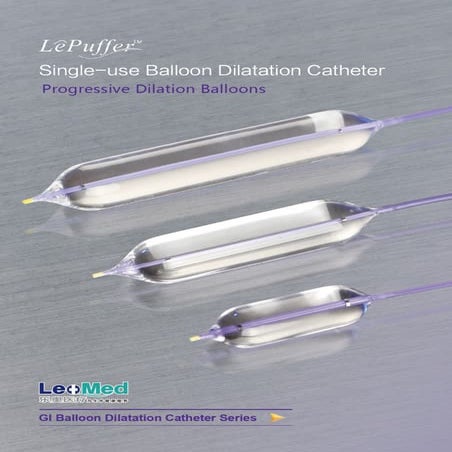 single use balloon dilatation catheter | PDF