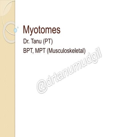 2. Myotomes.pptx