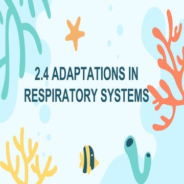 2.4 Adaptations in Respiratory System.pptx