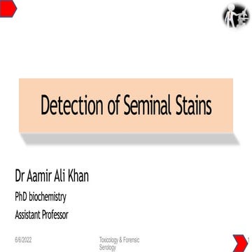 Forensic detection of seminal stains.pptx