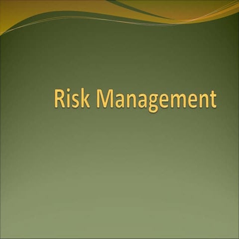 2.Intro Risk.ppt