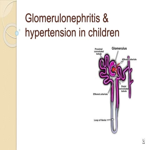 2. Glomerulonephritis & hypertension in children 01.04.15 lecture.pptx
