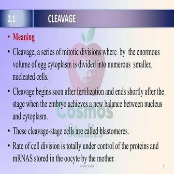 CLEAVAGE | PPT