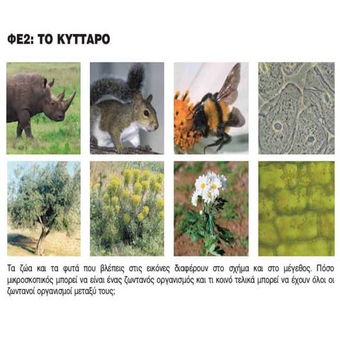 ΕΜΒΙΑ - ΑΒΙΑ - ΦΕ 2.ppt