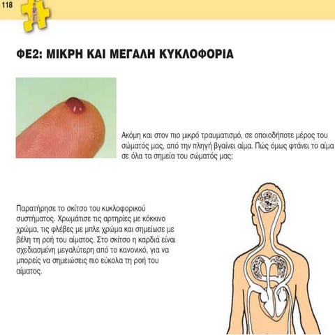 Κυκλοφορικό σύστημα | PDF