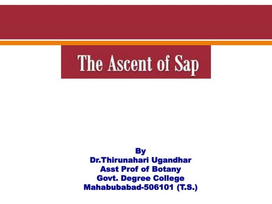 Ascent of sap in plants - Physiology of Plants | PPTX | Gardening | Home & Garden