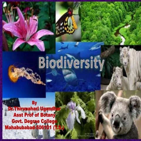 2. Biodiversity.pptx
