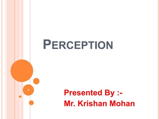 Perception - Organisational Behaviour | PPTX | Technology & Computing