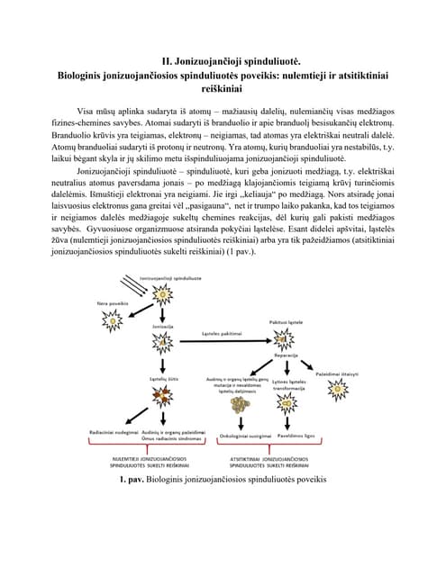 RSC biuletenis Nr. 6 (2).pdf