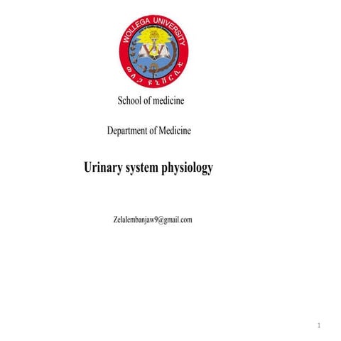 2. Urinary system physiology.pptx