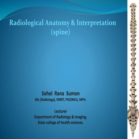 Radiological anatomy-spine.pdf